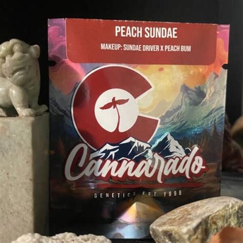 Cannarado Genetics Peach Sundae Heritage Seed Bank