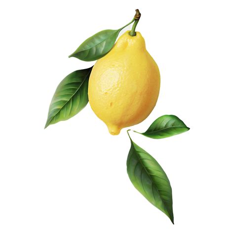 Download Lemon A