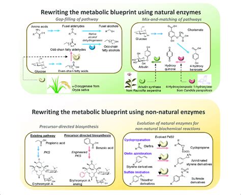 Illustration Of Distinct Examples For Each Diversification Approach