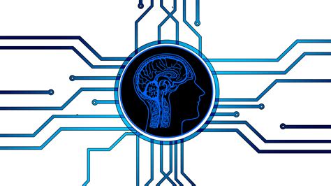 Computational Models Of Behavior Part 2 Rk
