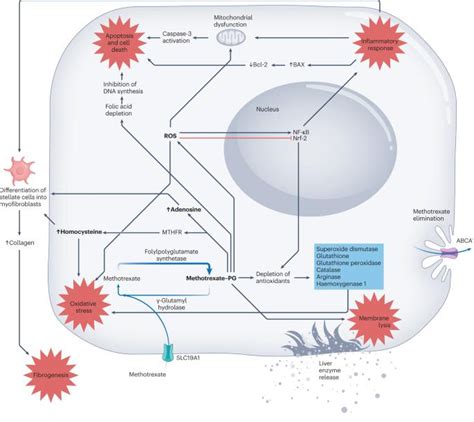 Happy To Share This Beautiful Review Led By Vincent Di Martino Busting