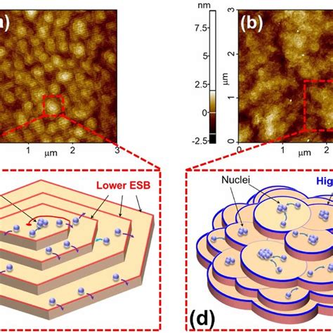 Afm Images Showing Surface Morphologies Of Ga Polar Hemt Download Scientific Diagram