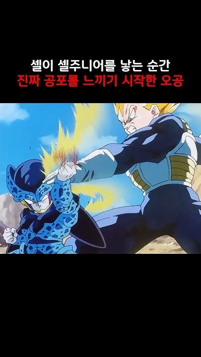 셀이 셀주니어를 낳는 순간 진짜 공포를 느끼기 시작한 오공 드래곤볼 Dragonball Youtube