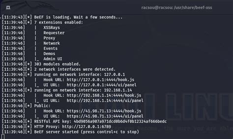 Kali Linux Can You Please Help Me Running Beef Xss With Public Ip