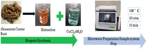Microwave Sample Preparation System Assisted Biogenic Synthesis Of Copper Oxide Nanoplates Using