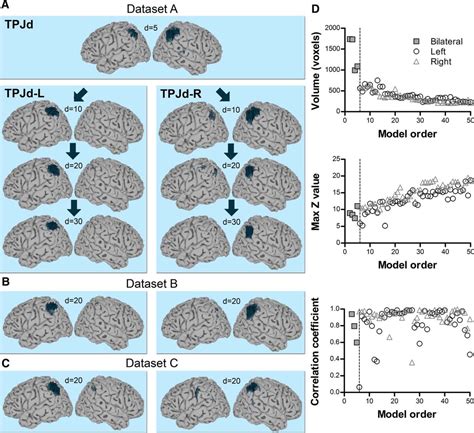Neural Processes In The Human Temporoparietal Cortex Separated By