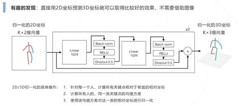 OpenMMLab AI实战营笔记 人体关键点检测与MMPose CSDN社区
