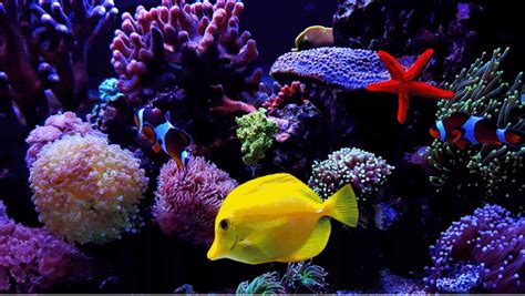 Meta发布「分割一切」ai 模型，cv或迎来gpt 3时刻 智源社区