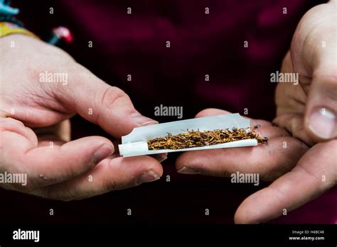Rolling Tobacco Hi Res Stock Photography And Images Alamy