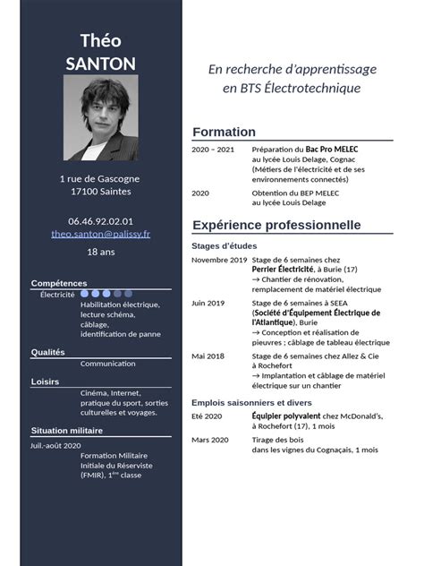 Cv Bac Modele Colonne Pdf