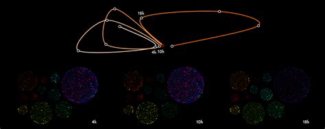 Interactive Network Visualization Of Gene Expression Time Series Data