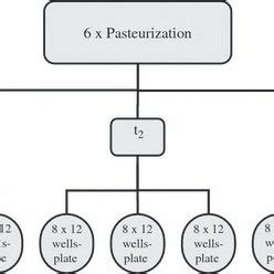 Design Of The Experiment Download Scientific Diagram