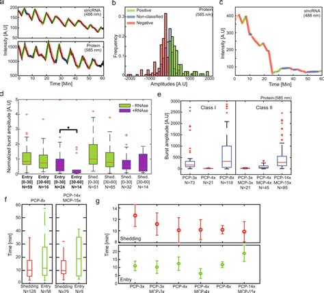 In Vitro Dynamic Signal Analysis A Matching Sample Traces Of Both