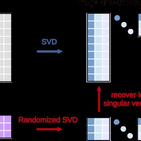 Graphical Depiction Of Randomized Svd From 26 Download Scientific