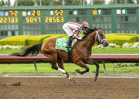 Derby Trail Sophomores Anchor Santa Anitas Sunday Work Tab Paulick