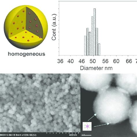 Schematic Homogeneous Nanoparticle Top Left Sem Bottom Left Bar Is