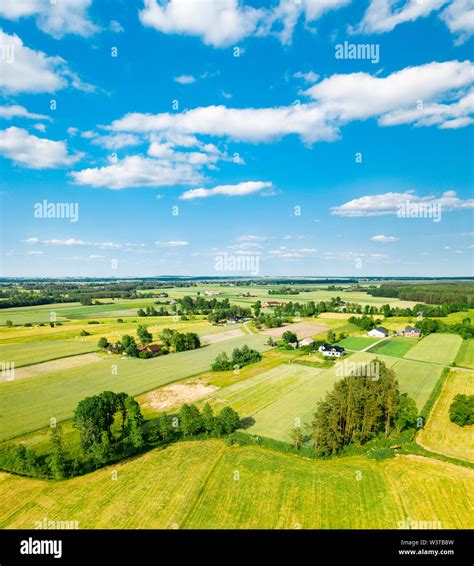 Green Fields And Trees Of Polish Countryside Stretch To The Horizon