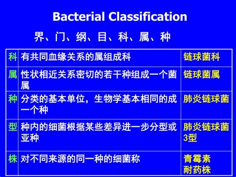 Ppt Bacterial Physiology Powerpoint Presentation Free Download Id908526