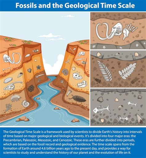 Geologic Process Vectors And Illustrations For Free Download