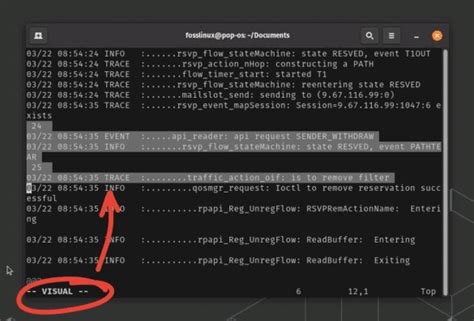 Vivim Essentials Heres How To Delete Lines Efficiently