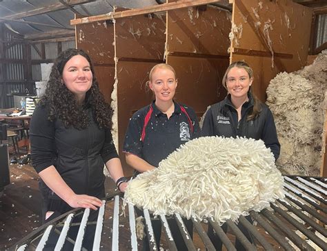 Industry Welcomes Two New Wool Classers