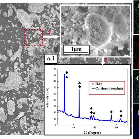 Hanks Balanced Salt Solution Hbss Composition Download Table