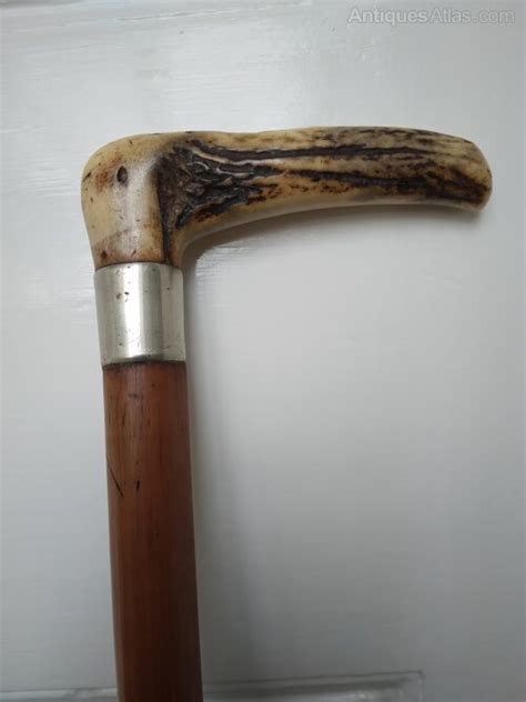 Antiques Atlas Malacca Walking Cane With Antler Handle As585a344
