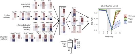 Role Of Dietary Fiber In The Recovery Of The Human Gut Microbiome And