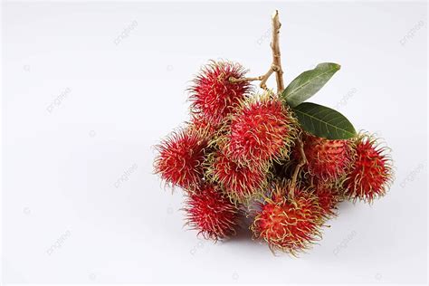 Rambutan Season Nutrition Ingredient Photo Background And Picture For