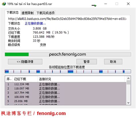 （idm）史上最快的多线程下载工具，绿色稳定版 哔哩哔哩