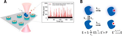 Shedding Light On Protein Folding Structural And Functional Dynamics