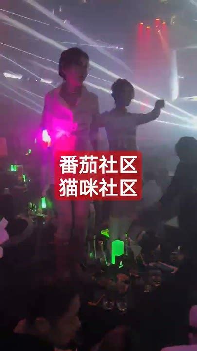 打开网芷【865a·€0m】91论坛破解版，雪梨社区，猫咪段子，小姐姐直播，小奶猫直播，大番号，蝌蚪窝 快手成人版 Youtube