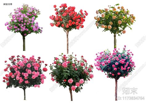 现代花草下载【id1173834764】undefined