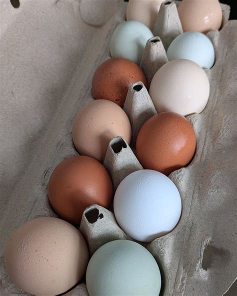 Trish Mcgee Mcgeesmallacres • Instagram Photos And Videos