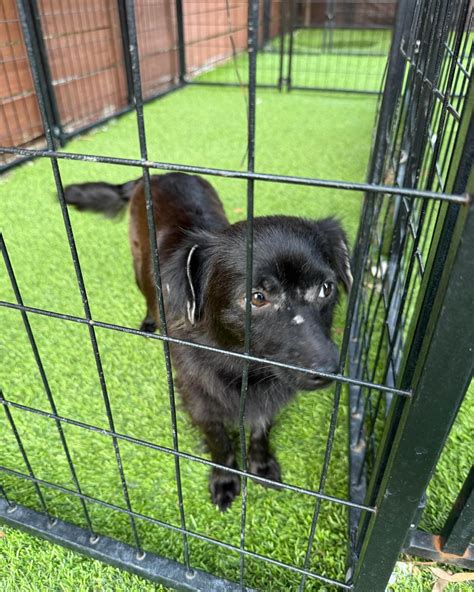 Mercy Full Project Added A New Photo Mercy Full Project