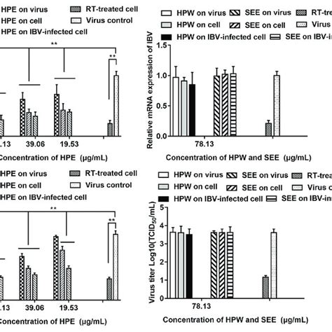 The Impact Of Hypericum Perforatum Ethyl Acetate Hpe H Perforatum Download Scientific