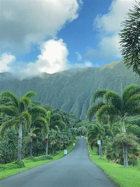 Wonderland Hawaii Tourism Amazing Nature Nature