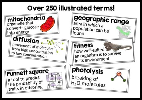Biology Vocabulary Words With Definitions Biology Eoc Terms Biology