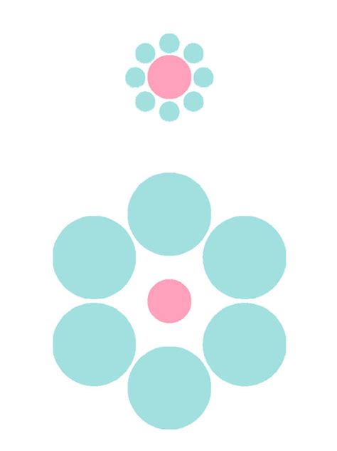 Optical Illusion Can You Tell Which Circle Is Bigger Viral Picture