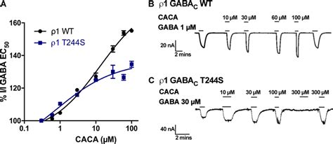 Enhancement Of The Gaba Ec50 Response By Caca At ρ1 Wt And ρ1 T244s
