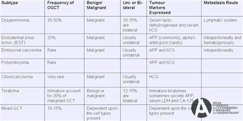 Ovary Germ Cell Tumors