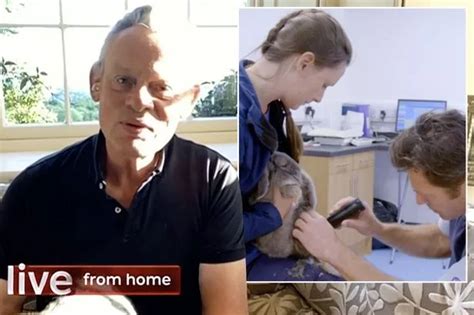 Countdowns Susie Dent In X Rated Oral Sex Gag Daily Star