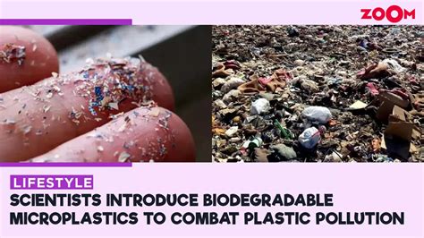Algae Based Biodegradable Plastic Scientists Introduce Biodegradable