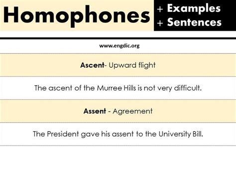 Homophones Of Assent Homophones Sentence Examples Words