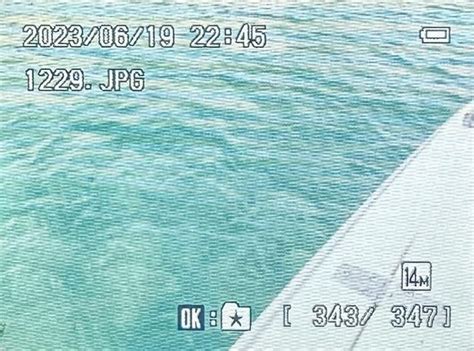 Ryan Chodak Rchodak15 • Instagram Photos And Videos