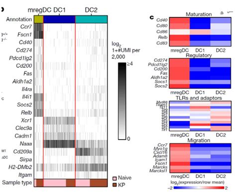 Single Cell Gene Expression With Cell Surface Protein Capitalbio