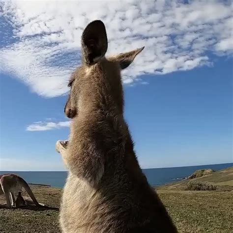 Emily Panek On Linkedin Emilypanek 105 Comments