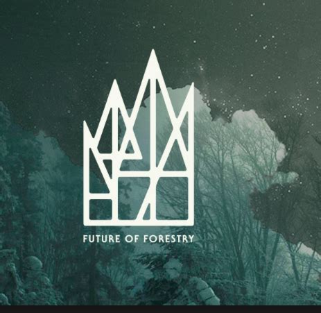 Pin By Taryn Hofert On Forest For The Trees Branding Identity