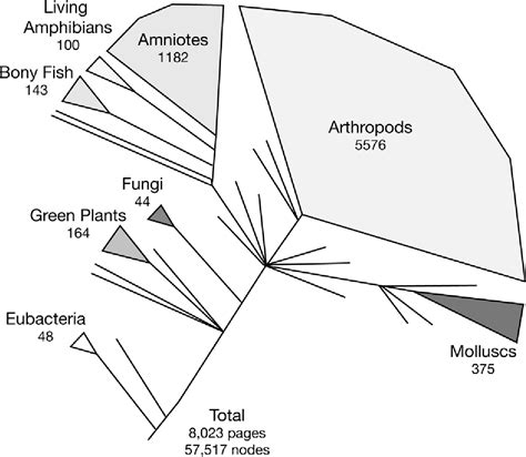 Figure 1 From The Tree Of Life Web Project Semantic Scholar