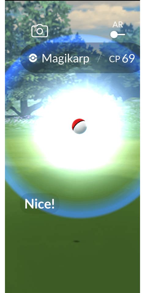 My Favorite Screenshot Ive Taken This Year R Pokemongo
